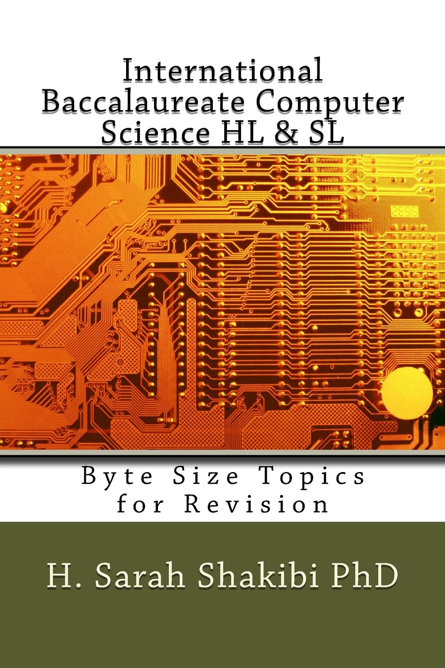 International Baccalaureate Computer Science Hl & Sl: Byte Size Topics ...