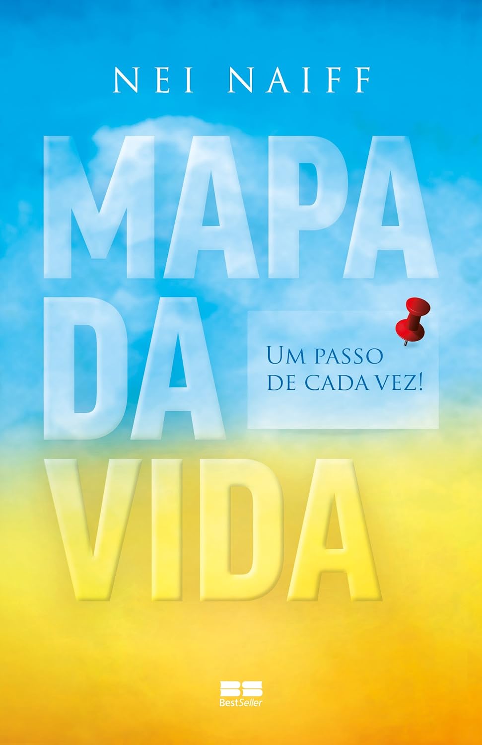 Mapa da Vida: Um Passo de Cada Vez! (Em Portugues do Brasil): Nei Naiff ...
