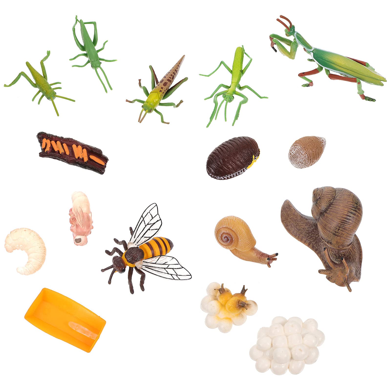 Buy IMIKEYA 4 Sets of Animal Life Cycles Life Cycle of Bee Snail Insect ...