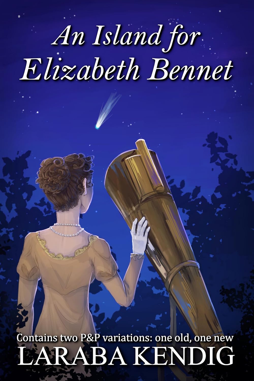 Amazon.com: An Island for Elizabeth Bennet: Pride and Prejudice ...