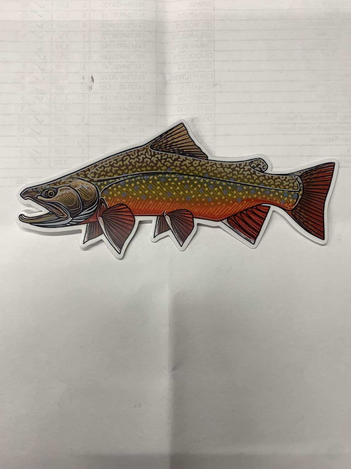 Amazon.com - Brook Trout Fish Decal Sticker, Die-Cut Vinyl Decal- 5.5 ...