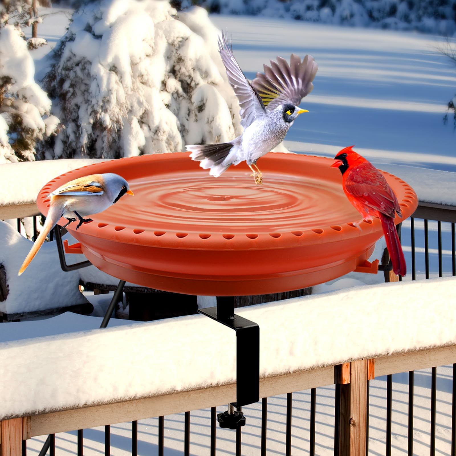 Amazon.com: Daoeny Heated Bird Baths for Outdoors, Upgraded 100W ...