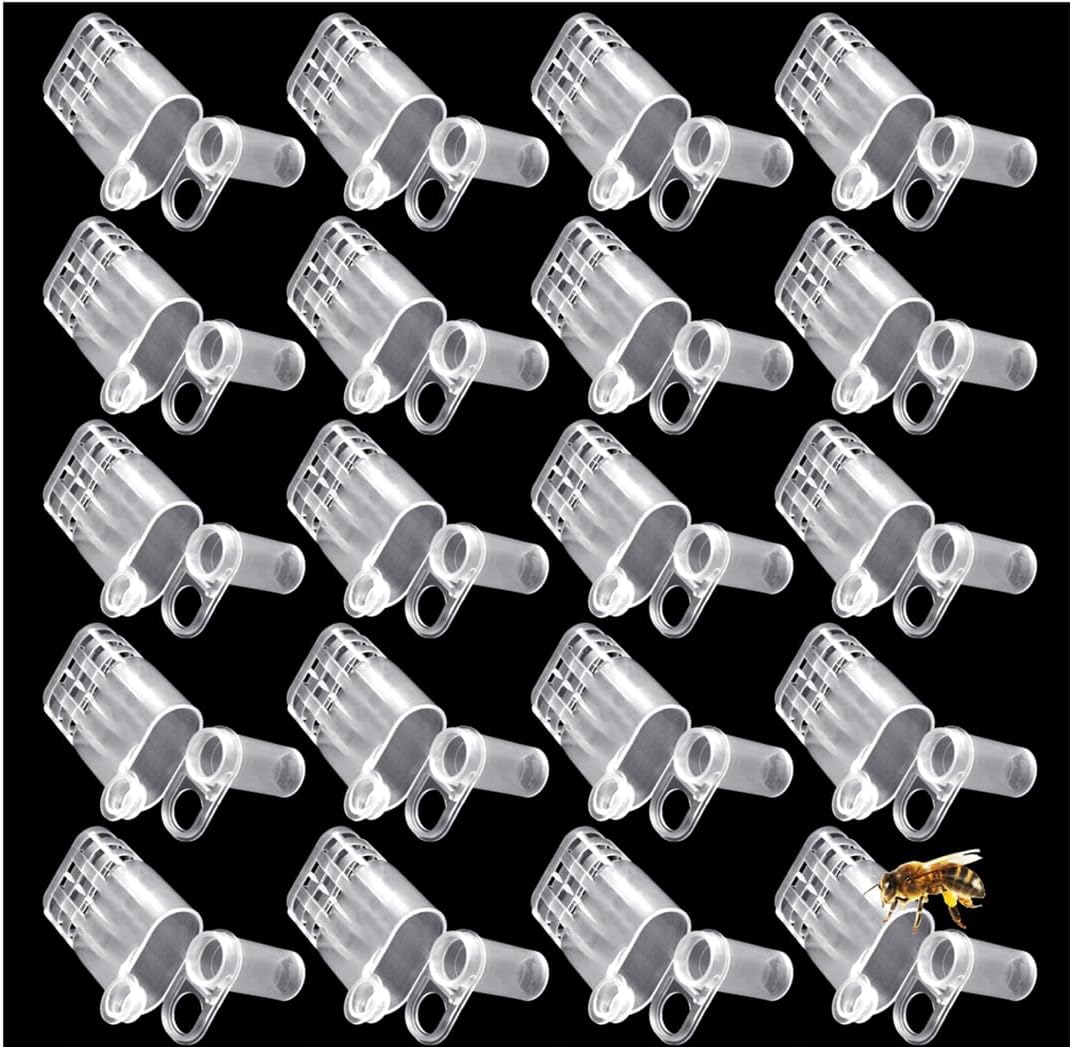 Amazon.com : 20pcs White Queen Bee Cages Beekeeping Catcher Plastic Bee ...