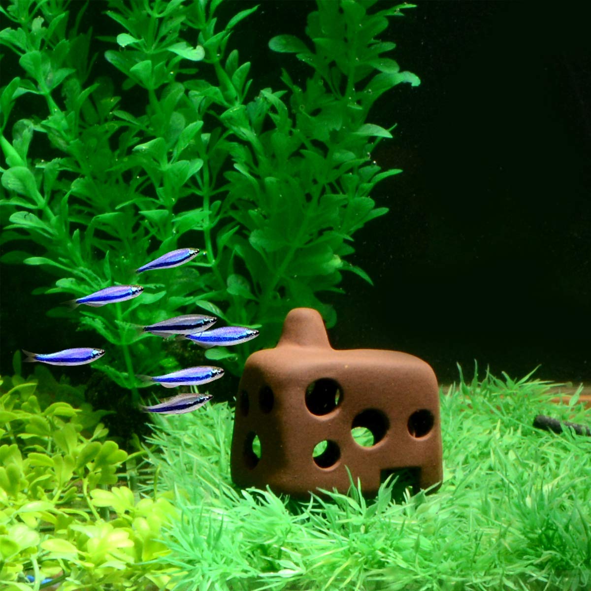 Snapklik.com : Shrimp Shelter Hiding Pot Aquarium Ceramic Rock Cave ...