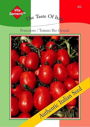 Thompson & Morgan AGV00472 Tomate Pomodoro Rio Grande (Tomatensamen ...