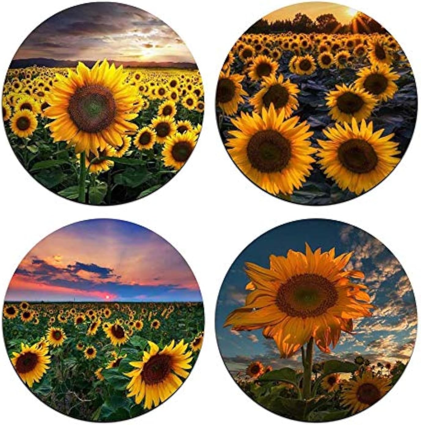 Amazon.com: Paladone Rick and Morty 3D Drink Coasters - Set of 4 : Home ...
