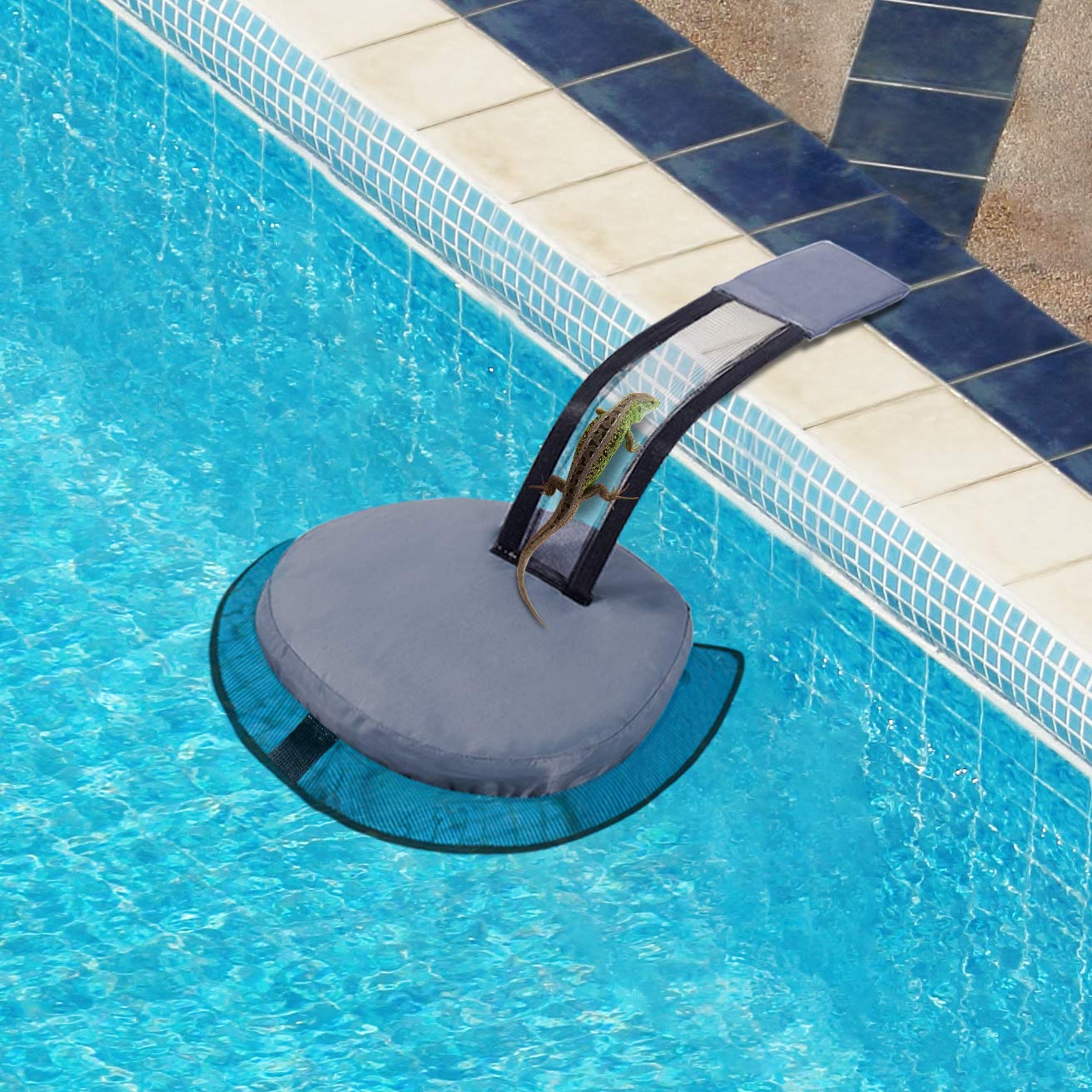 Buy SPERPAND 2 Pack Animal Escape Ramp for Pool, Swimming Pool ...