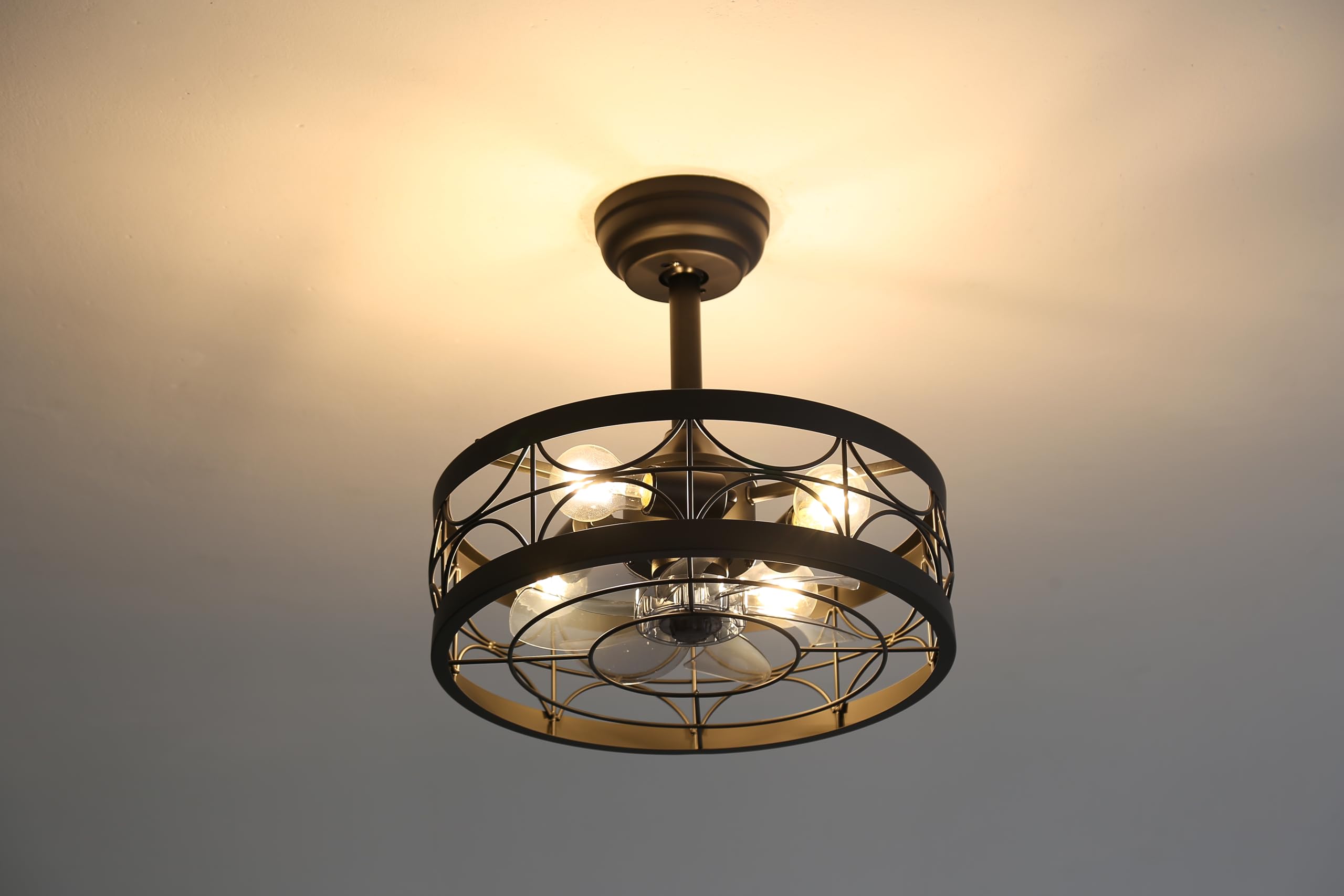 Amazon.com: ZYD Caged Ceiling Fans with Lights, 16.5" Ceiling Fan ...