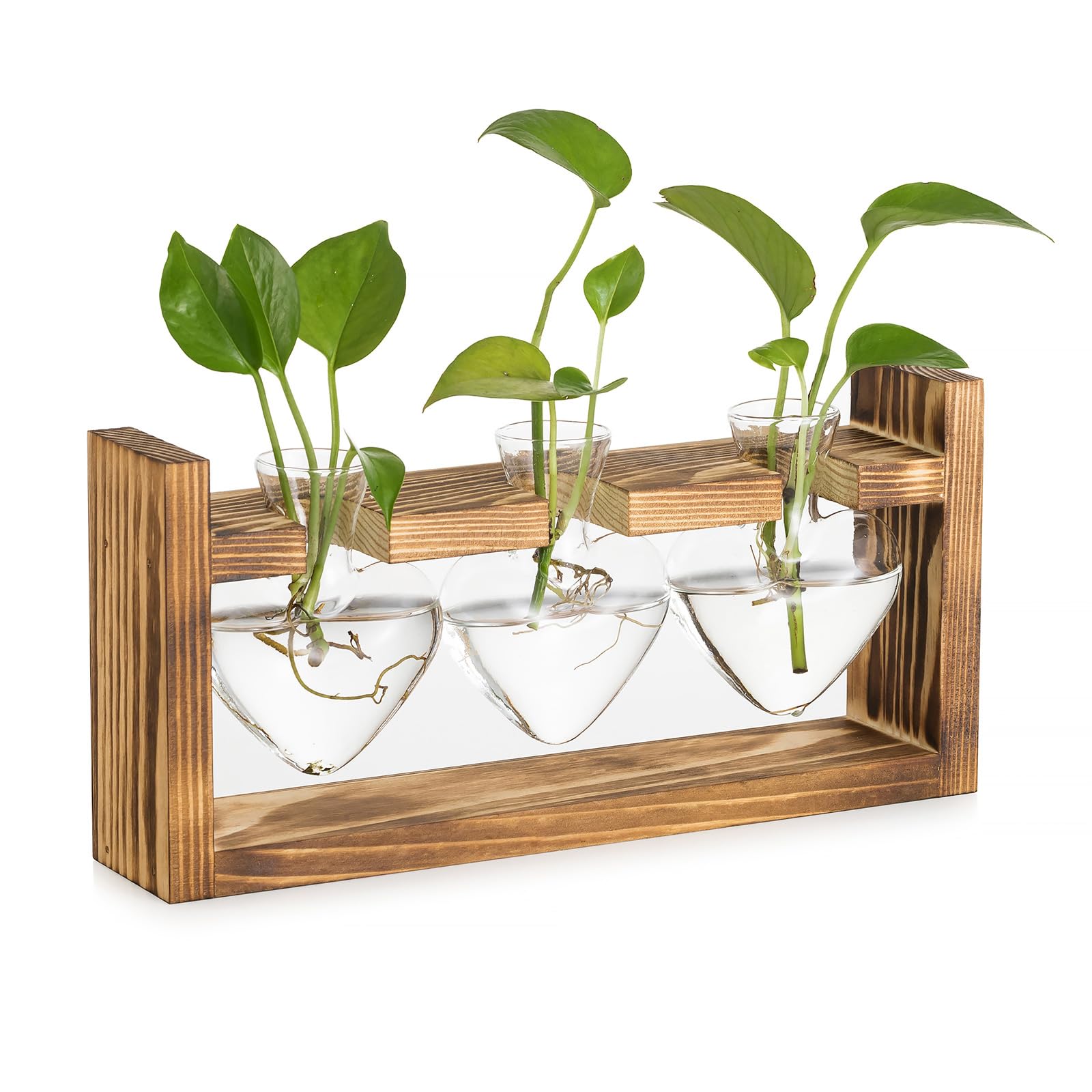 Glasseam Glass Propagation Station for Plant: Small Flower Vase with ...