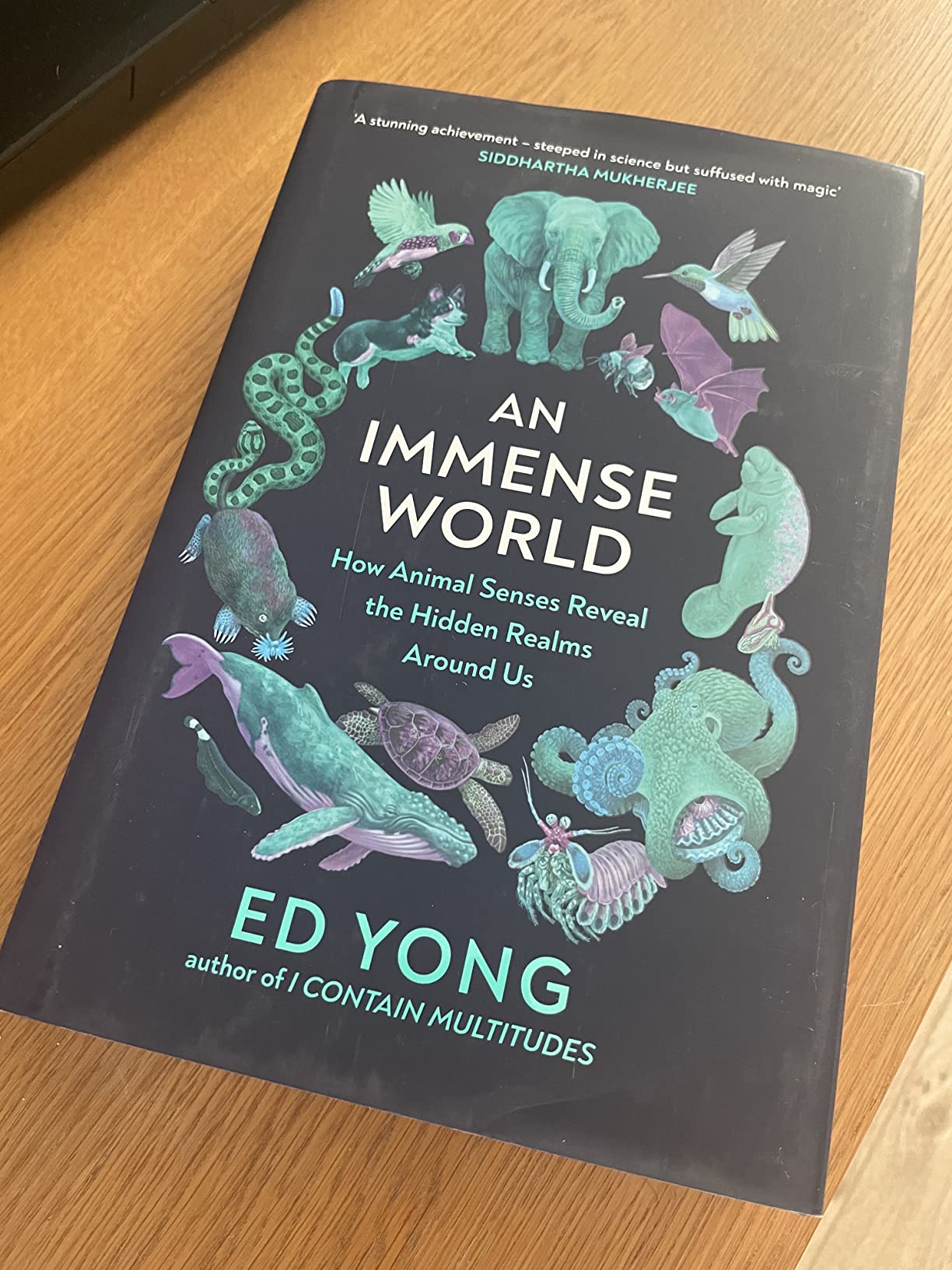 An Immense World: How Animal Senses Reveal the Hidden Realms Around Us ...