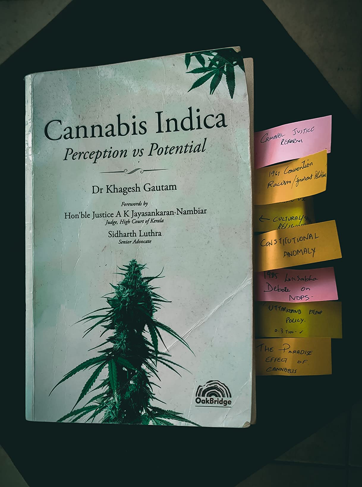 Cannabis Indica: Perception vs Potential eBook : Dr Khagesh Gautam ...