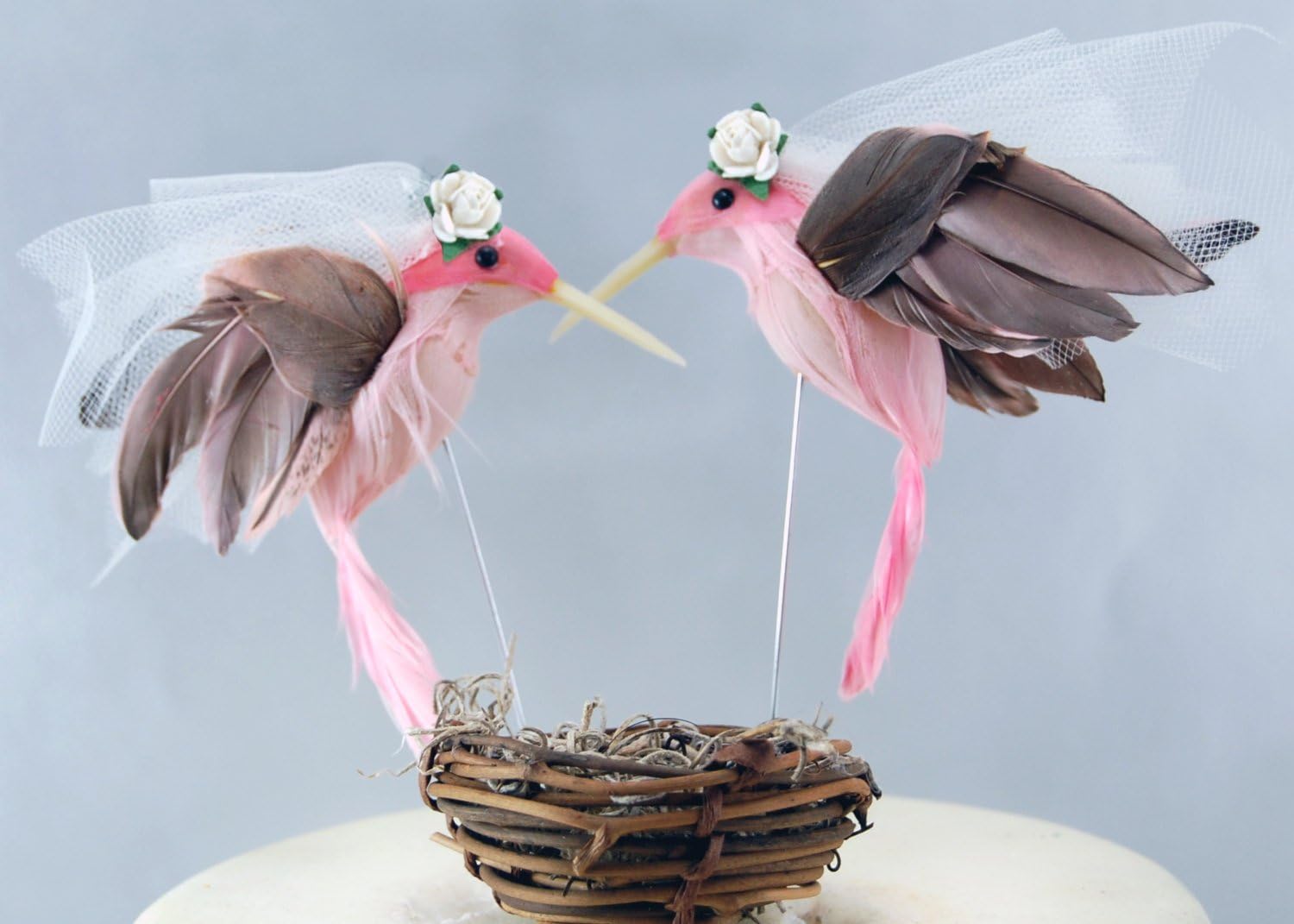 Amazon.com: Hummingbird "Bride and Bride" Cake Topper: Humming Bird Gay ...
