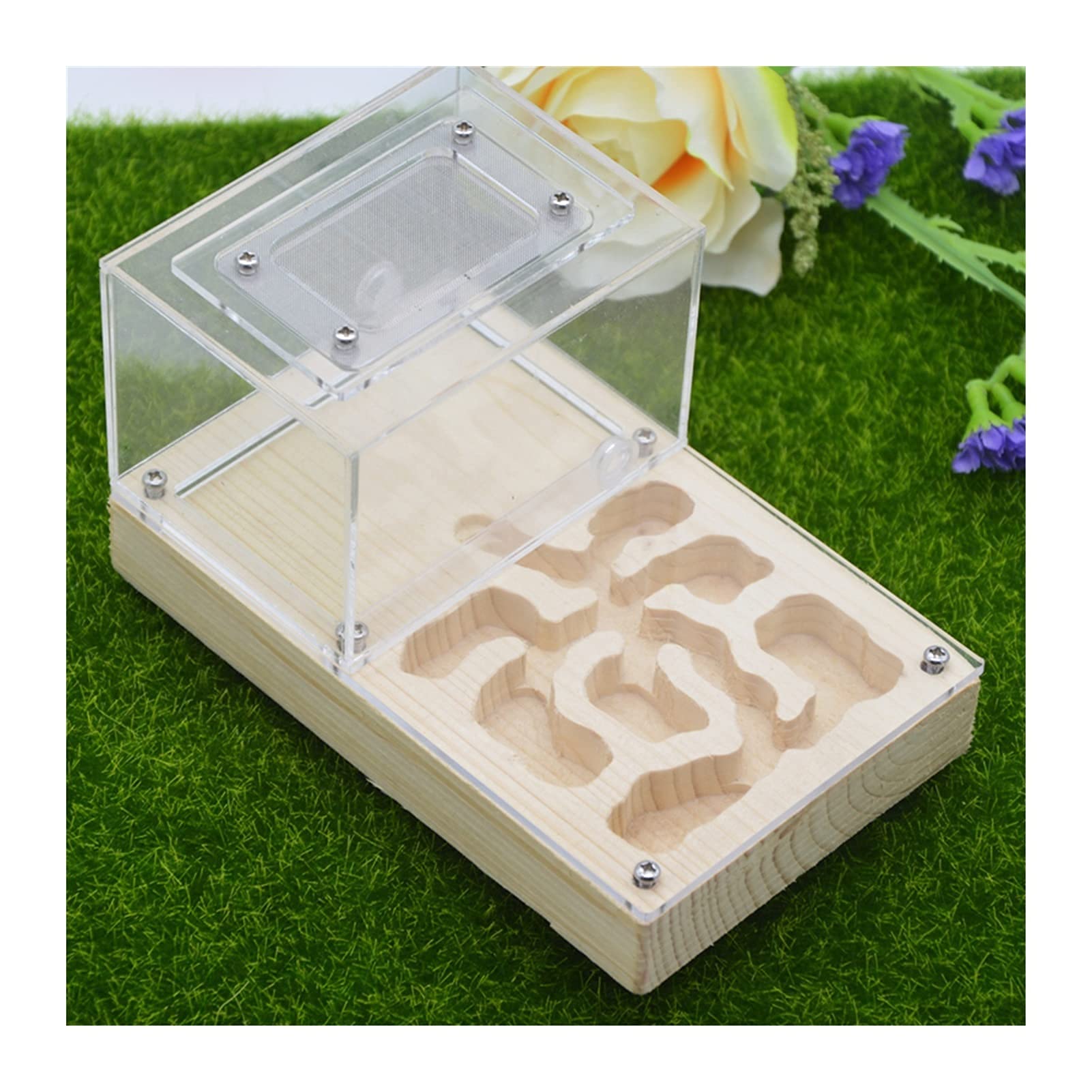 Buy Ant Farm Habitat Ant Castle Gypsum Ant Tower For Live Ants Feeding ...