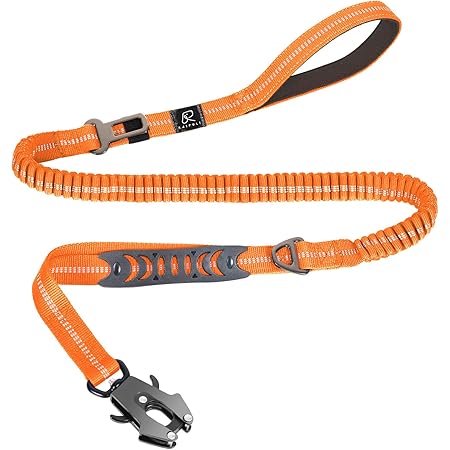Amazon.com : Raipult Heavy Duty Frog Clip Dog Leash, 4-6FT Strong ...