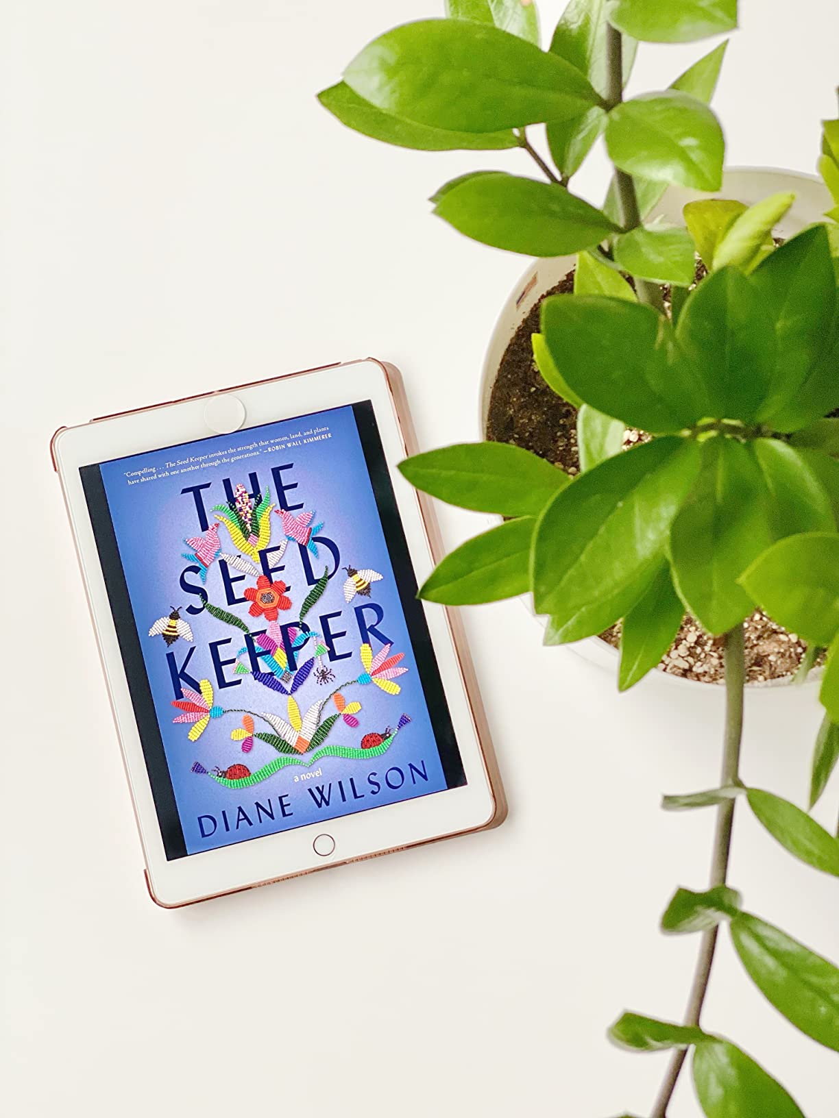The Seed Keeper: A Novel: Wilson, Diane: 9781571311375: Amazon.com: Books