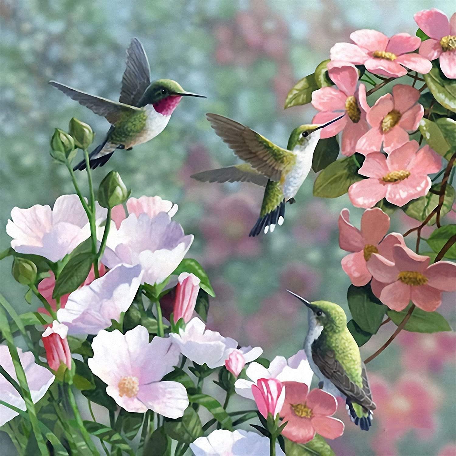 GREAT PRICE Amazon 5D Diamond Painting Kit Flowers And Hummingbird GREAT PRICE Amazon 5D Diamond Painting Kit Flowers And Hummingbird