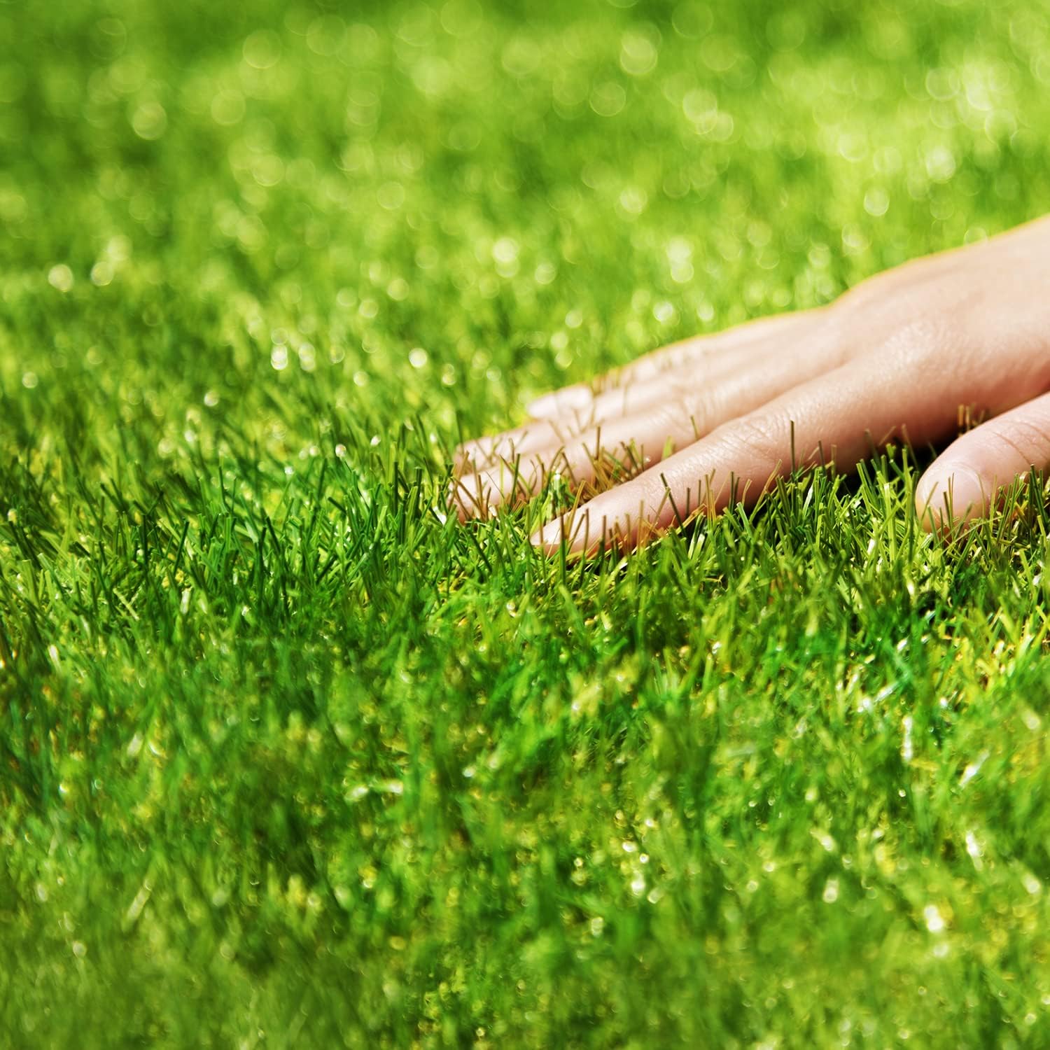 Amazon.com: Modern Deco Artificial Turf Roll Mat Sheet Grass Realistic ...