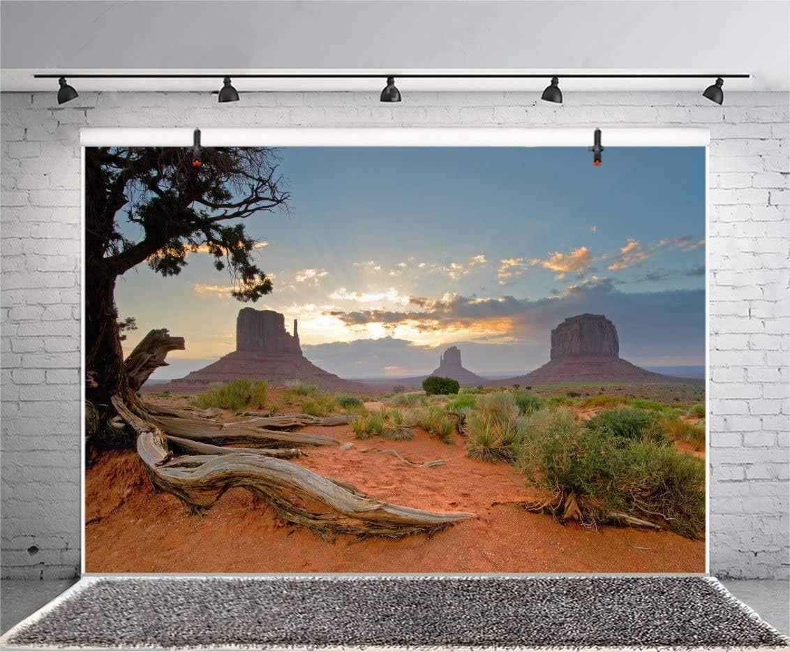 BELECO 60x50 Inch Cartoon Highway In Monument Valley Backdrop Navajo ...