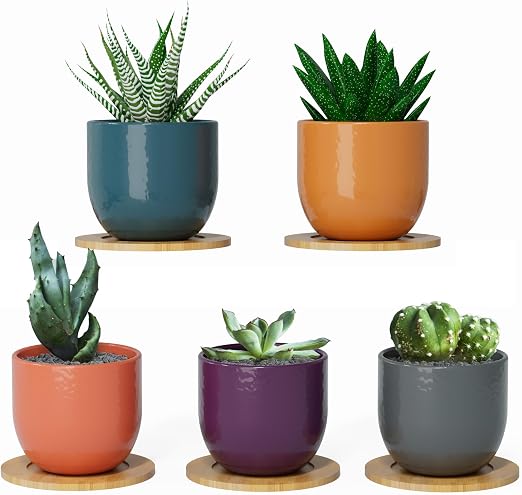 Amazon.com : Bon Decor Mini Succulent Plant Pots – 2.5" Ceramic ...
