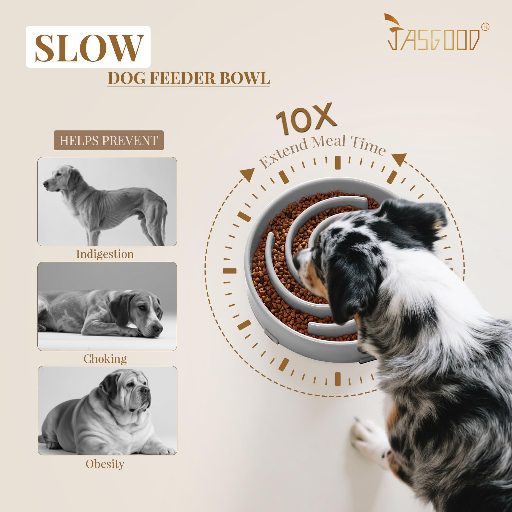 Snapklik.com : JASGOOD Slow Feeder Dog Bowl - Anti-Gulping