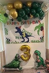 Amazon.com: Three Rex Birthday Party Decorations Boy, 3rd Dinosaur ...