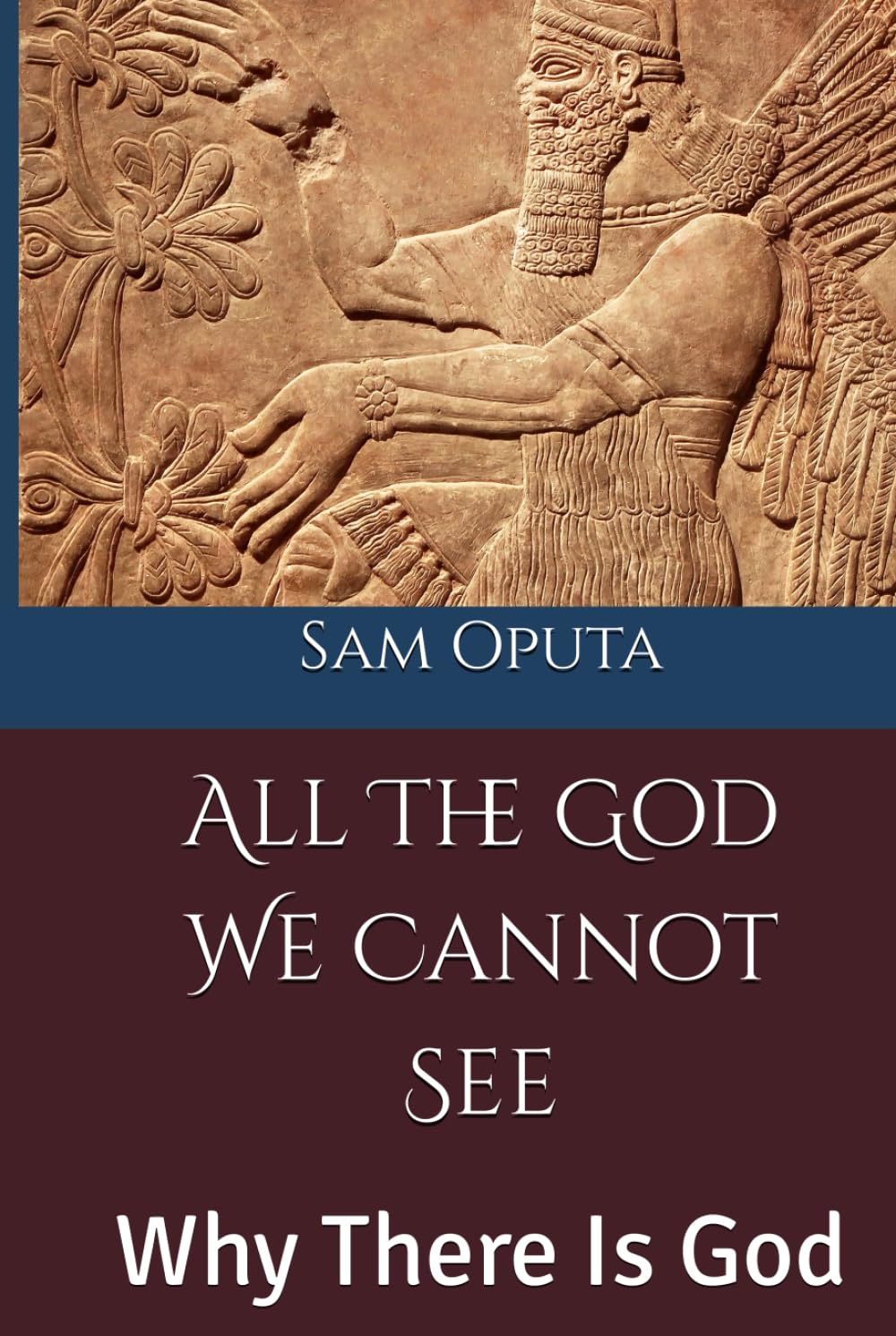 All The God We Cannot See: Why There Is God: Oputa, Sam: 9798877979260: Books - Amazon.ca
