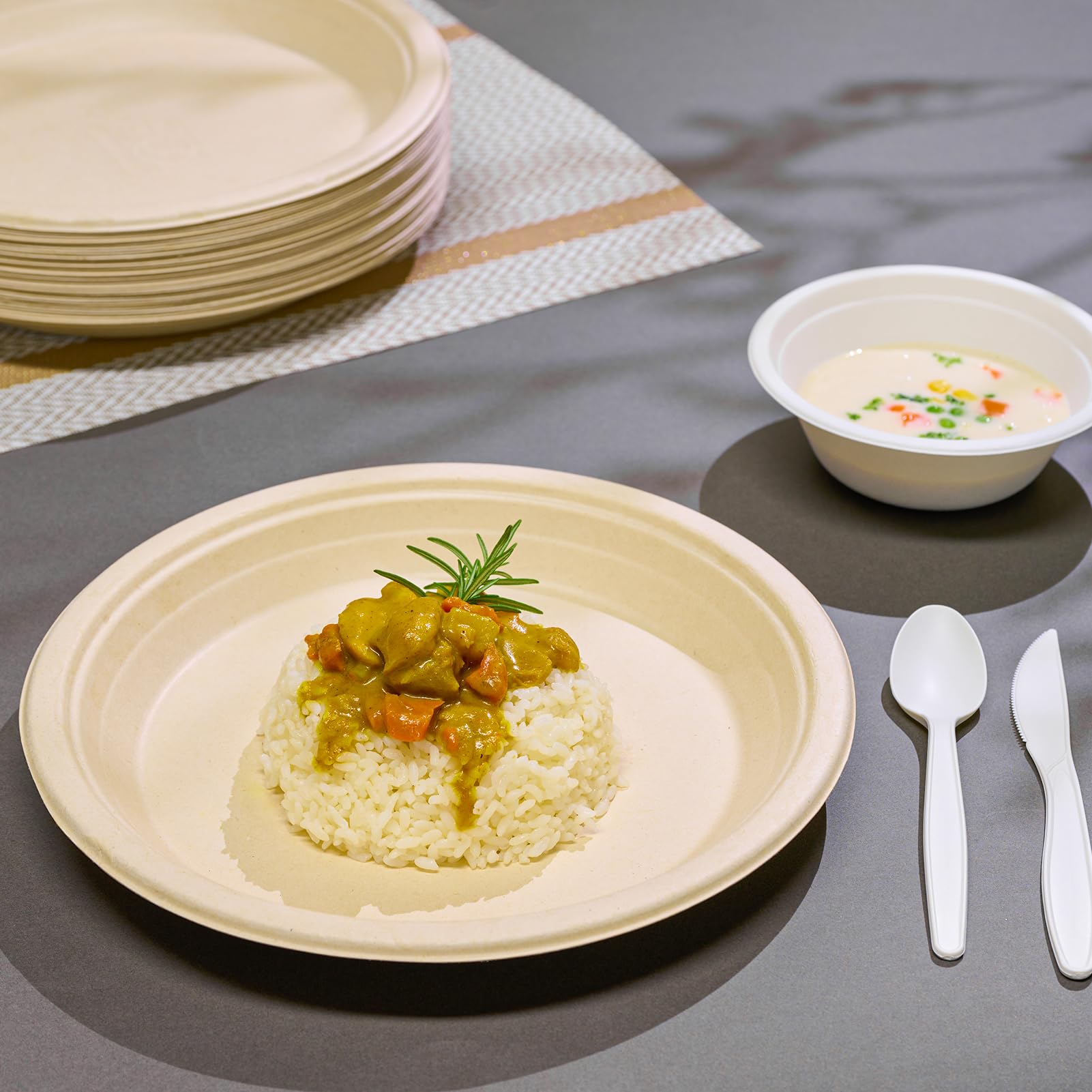 Snapklik.com : ECOLipak 125 Pack Paper Plates 10 Inch Deep Dish 100% ...