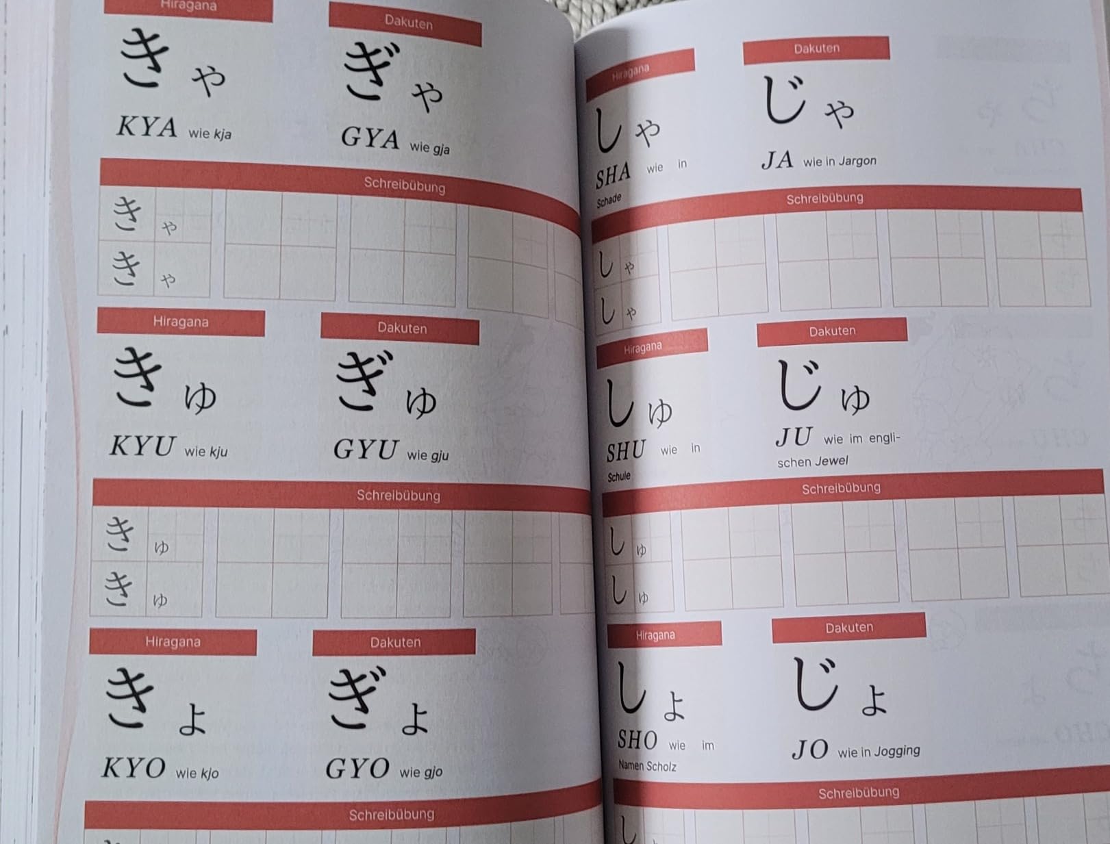 Hiragana & Katakana lernen und anwenden: Japanisch Lernen mit farbigen ...