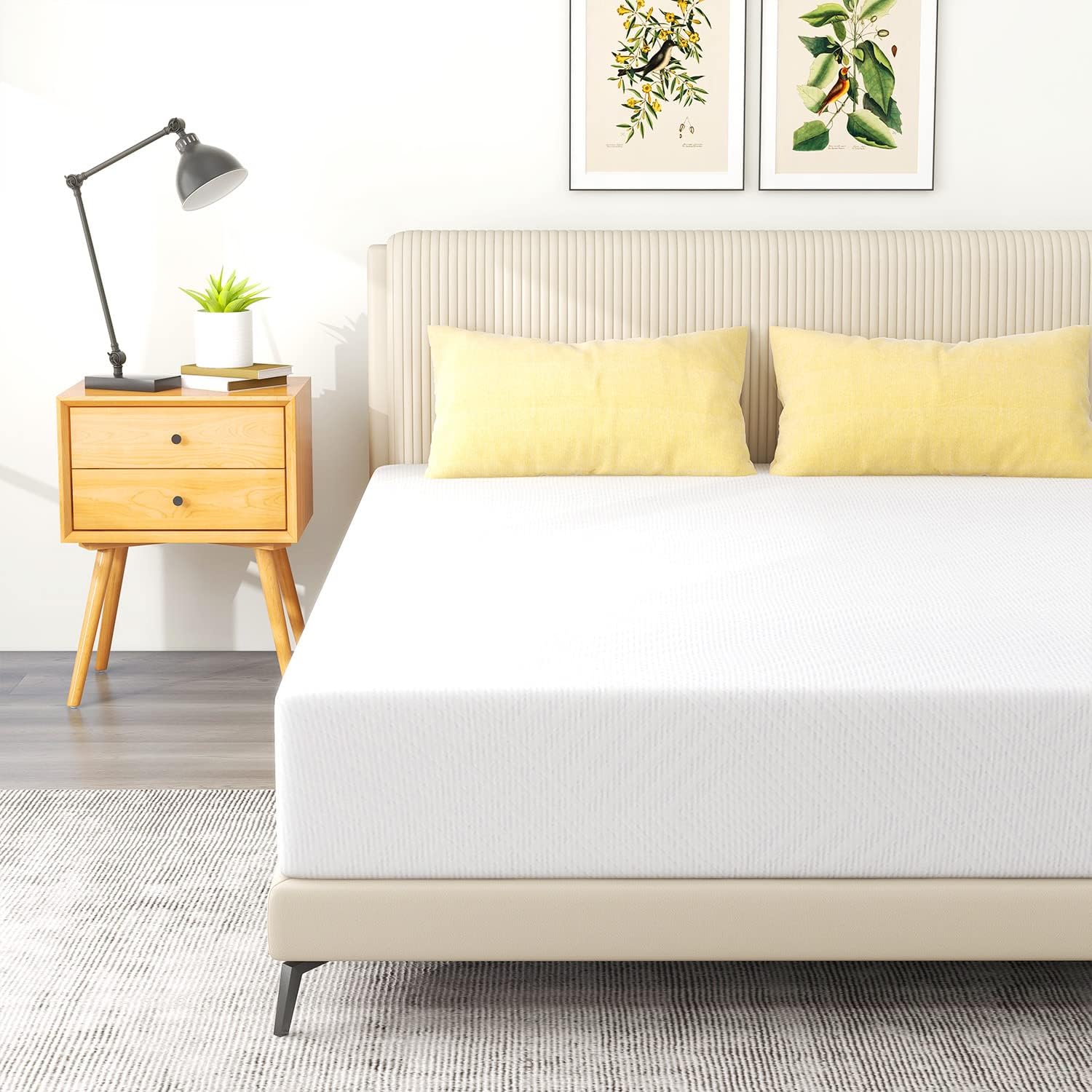 Amazon.com: wOod-it Queen Mattresses, 10 inch Mattress Queen Size ...