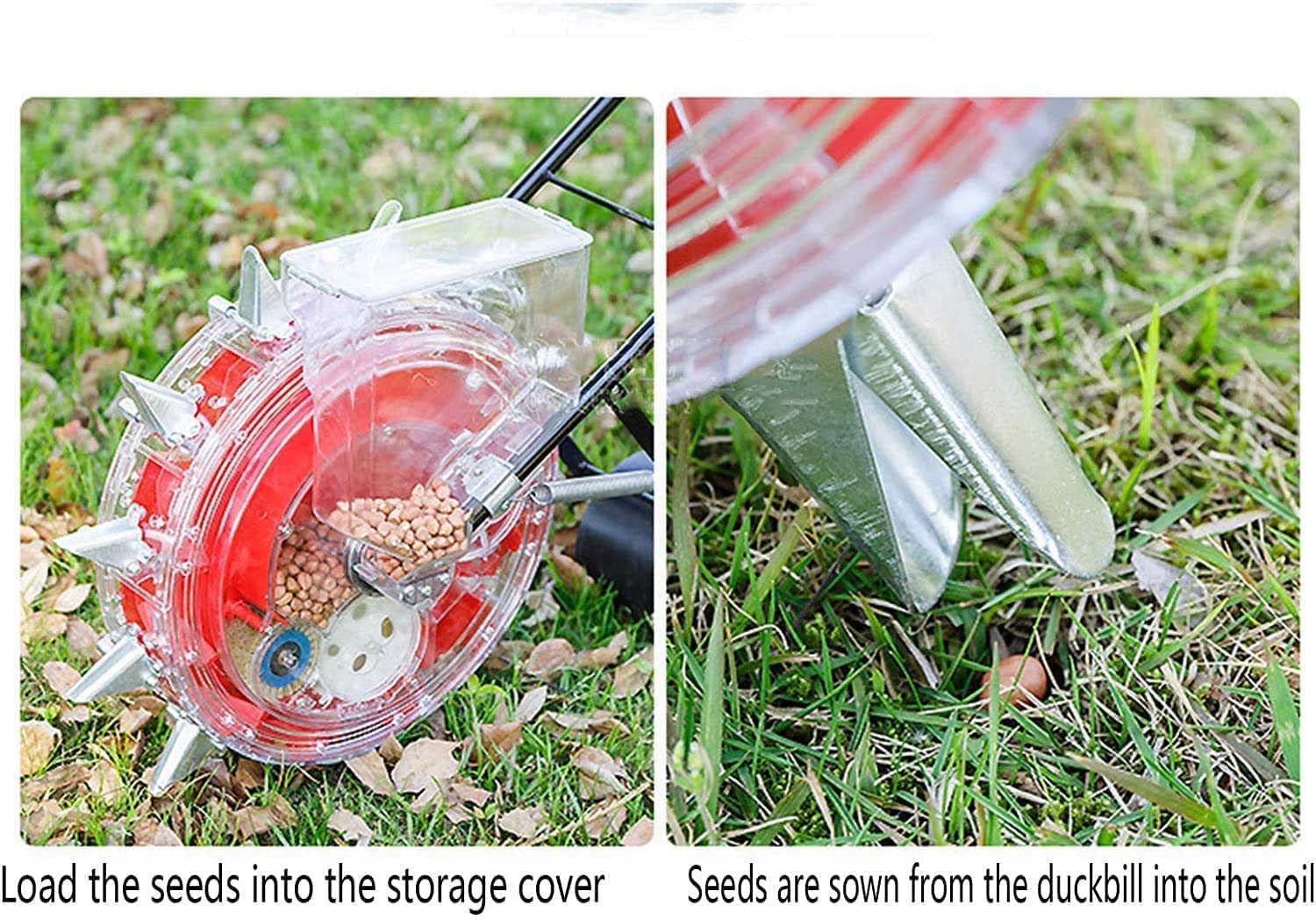 Mustard Seed Wheel Planter Canola School: Comparing The Results Of