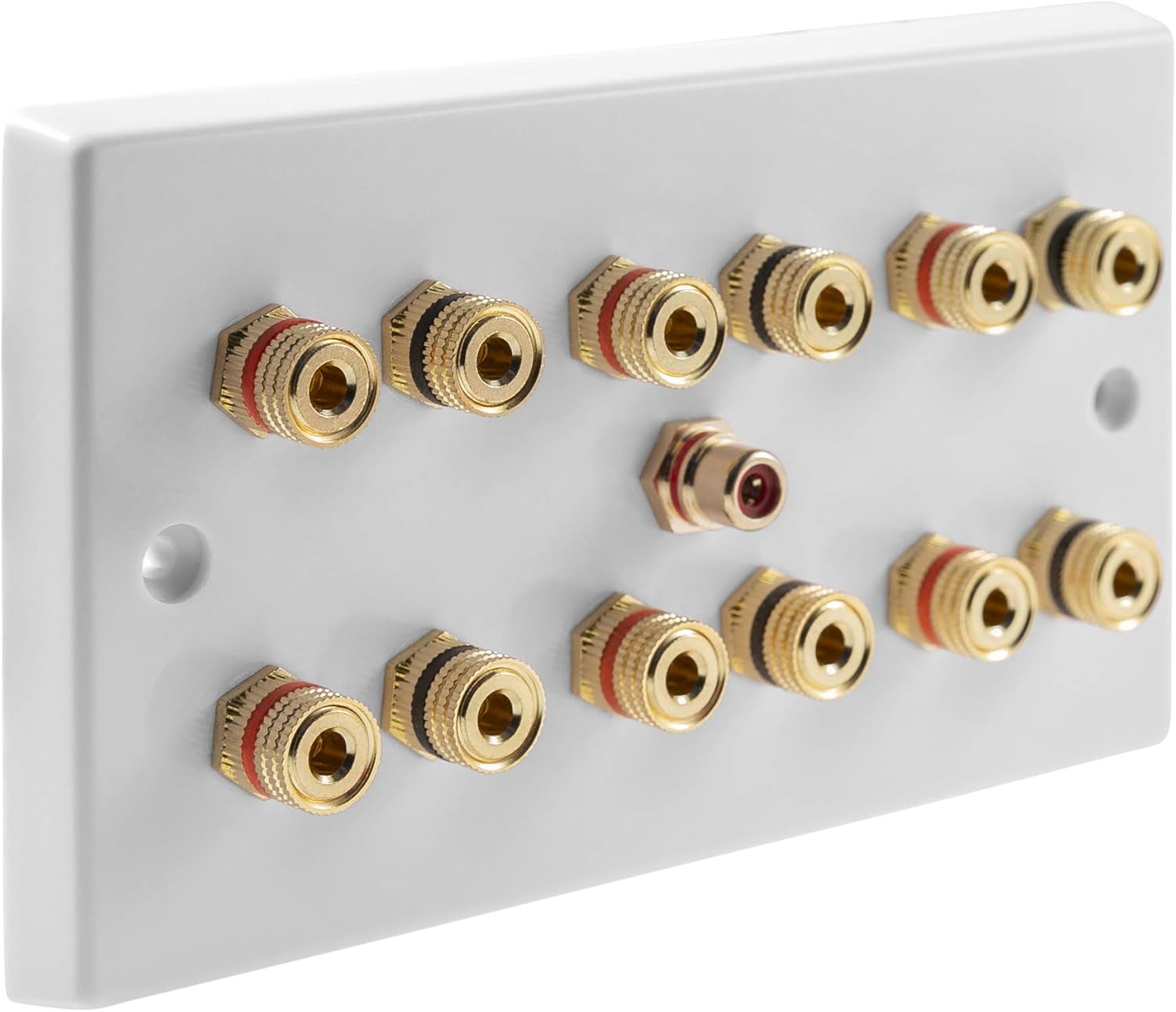 6.1 Surround Sound Speaker Wall Plate with Gold Binding Posts + RCA ...