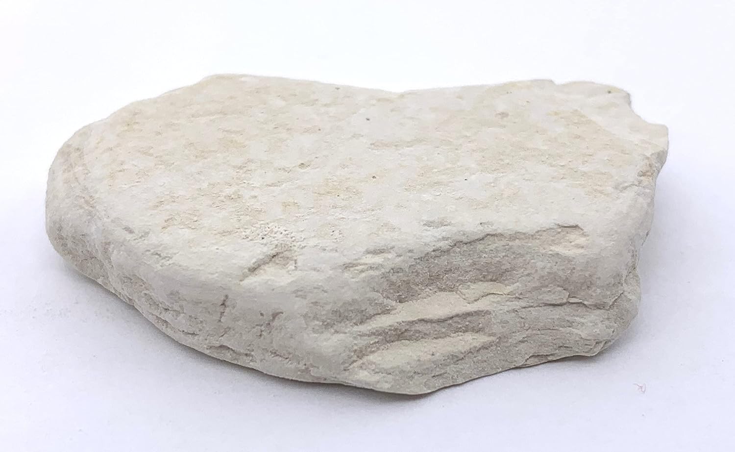 Buy Siltstone Sedimentary Rock - 10 Unpolished Rock Specimens Online at ...