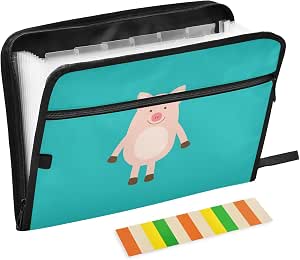Amazon.com : Pink Piglets Pigs with Floral Flowers on Turquoise ...