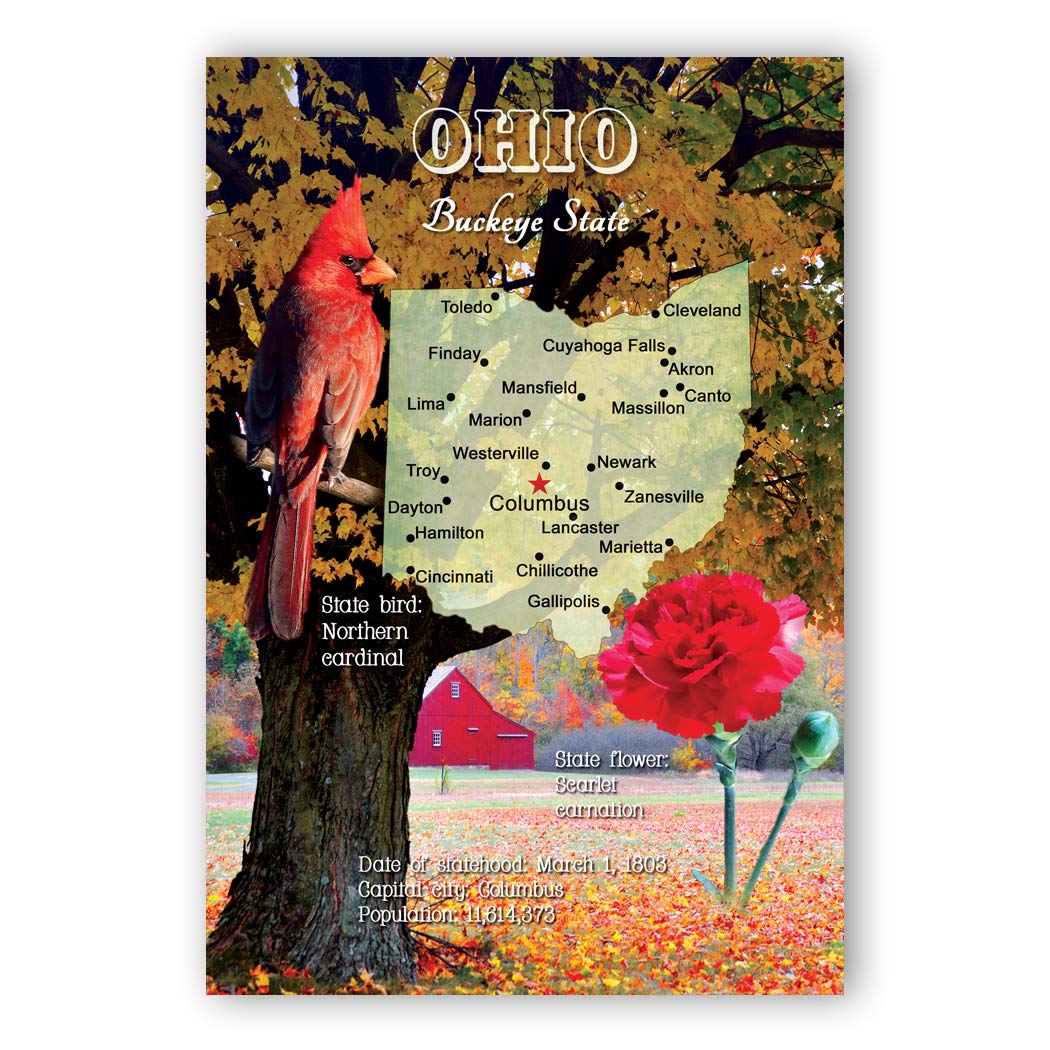 Ohio State Map Postcards