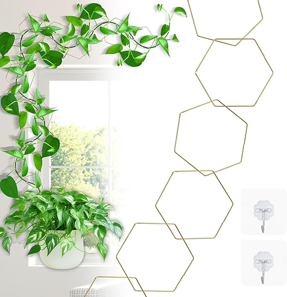 Amazon.com : 20 Pcs Chain Trellis for Climbing Plants Chain Trellis ...