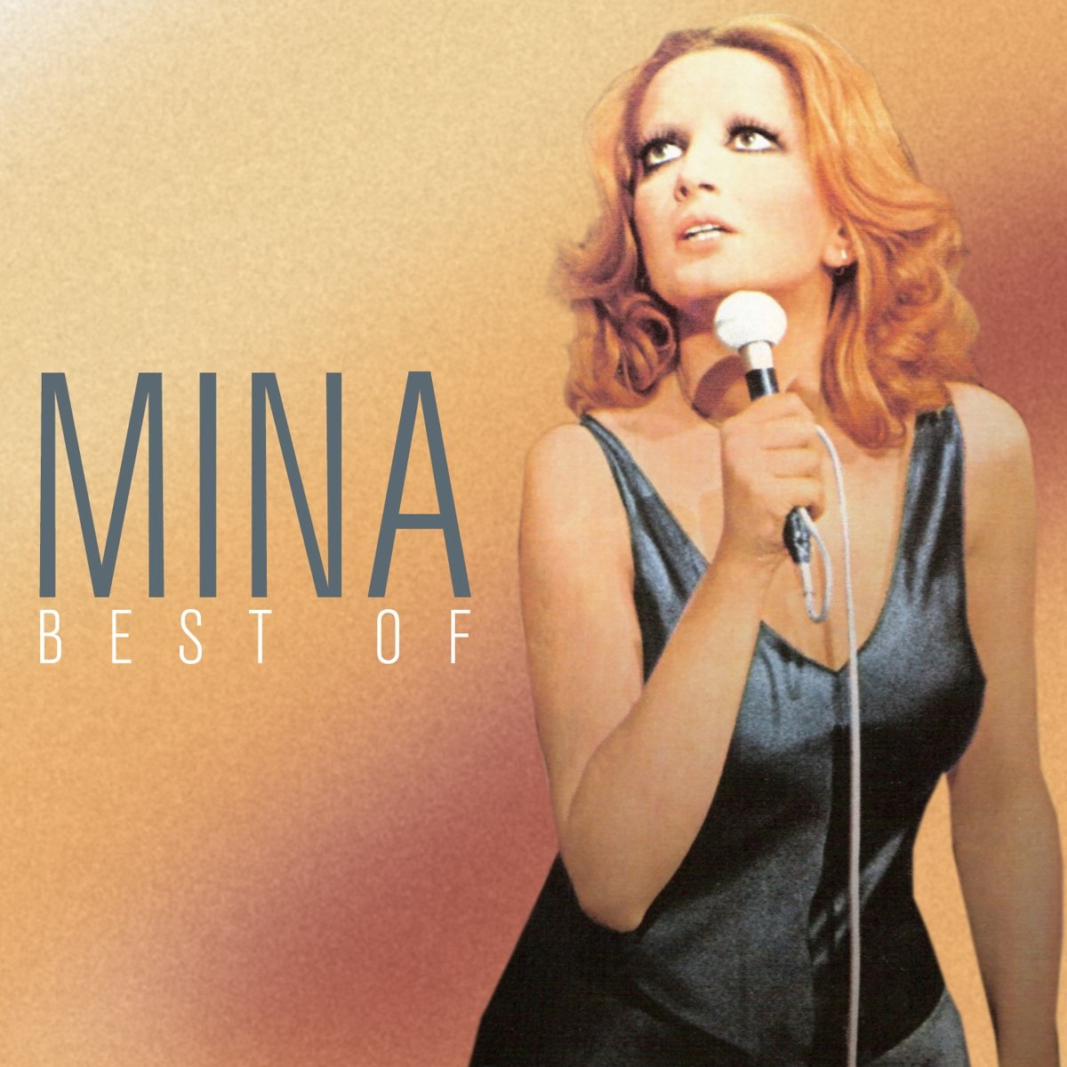 Best Of: Mina: MINA, MINA: Amazon.it: CD e Vinili}