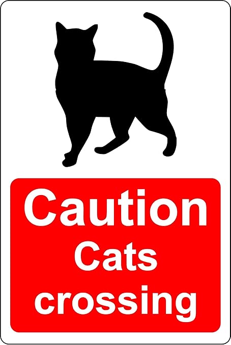Caution cats crossing road Pet Safety sign - 1mm Plastic sign (300mm x ...
