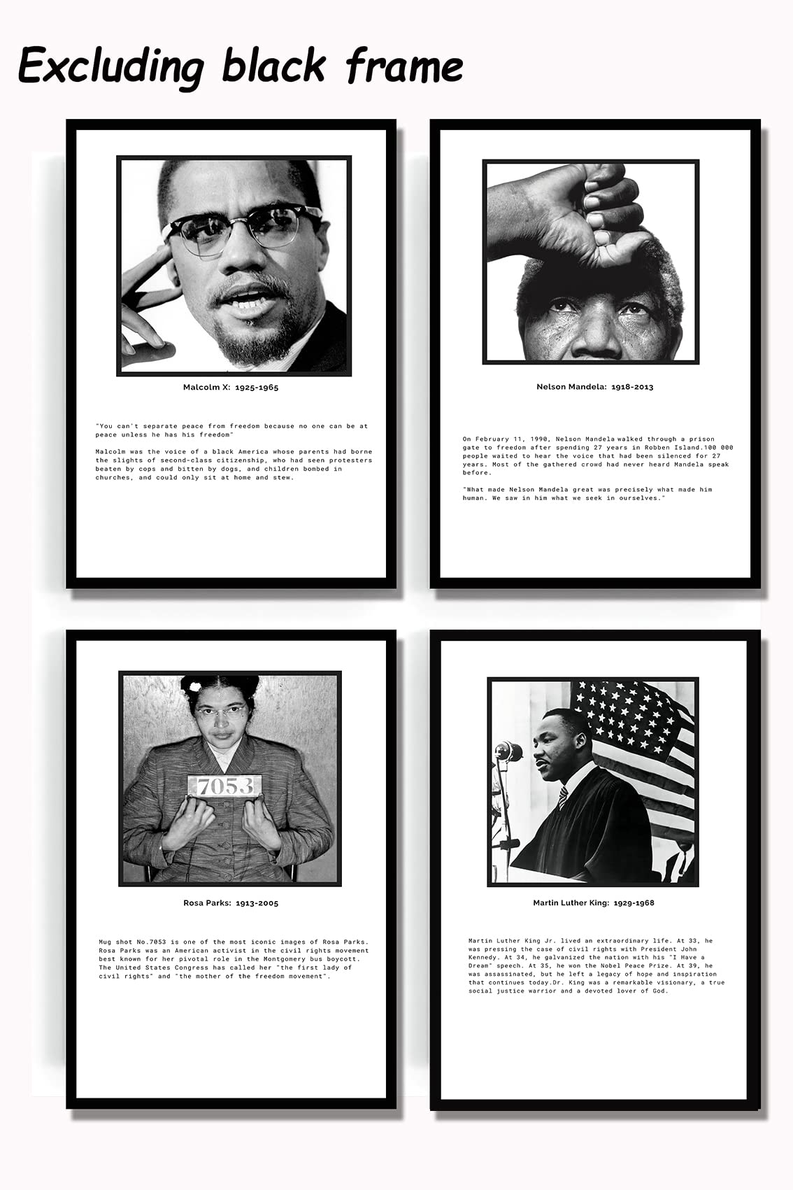 Rosa Parks And Nelson Mandela