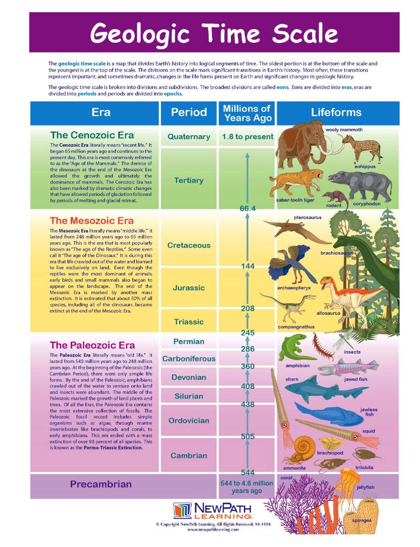 Amazon.com: NewPath Learning Geologic Time Scale Visual Learning Guide ...