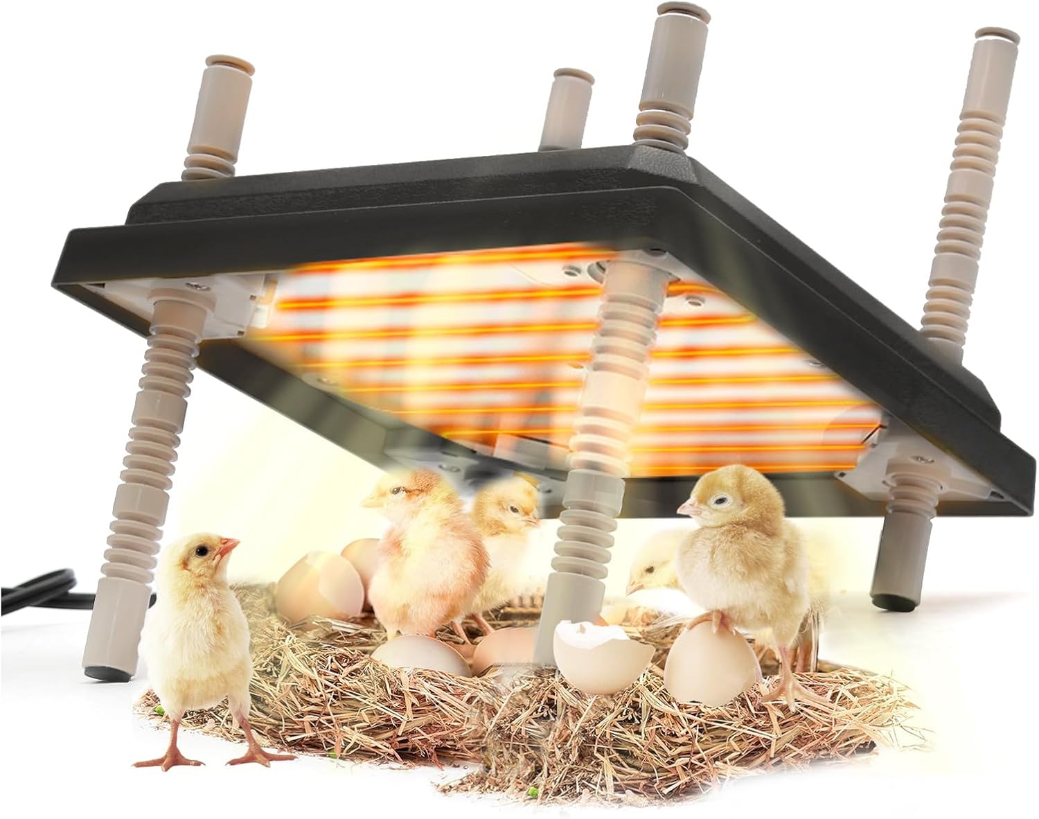 Amazon.com: EATAKWARD 2 PCS Brooder Heater for Chicks, 22 Watts 12" x ...
