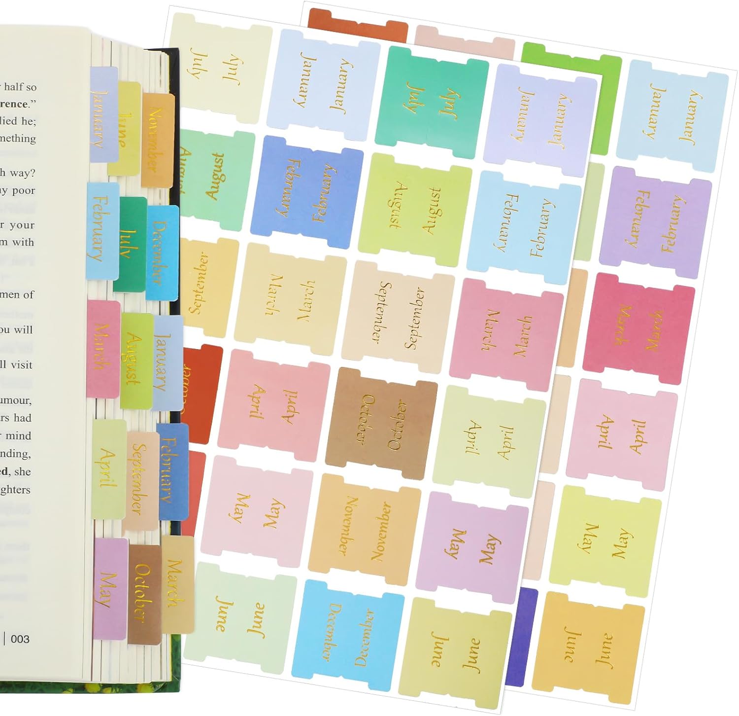 Amazon.com : NEWEST 48 Pieces Monthly Tabs for Planners, Gold Foil ...