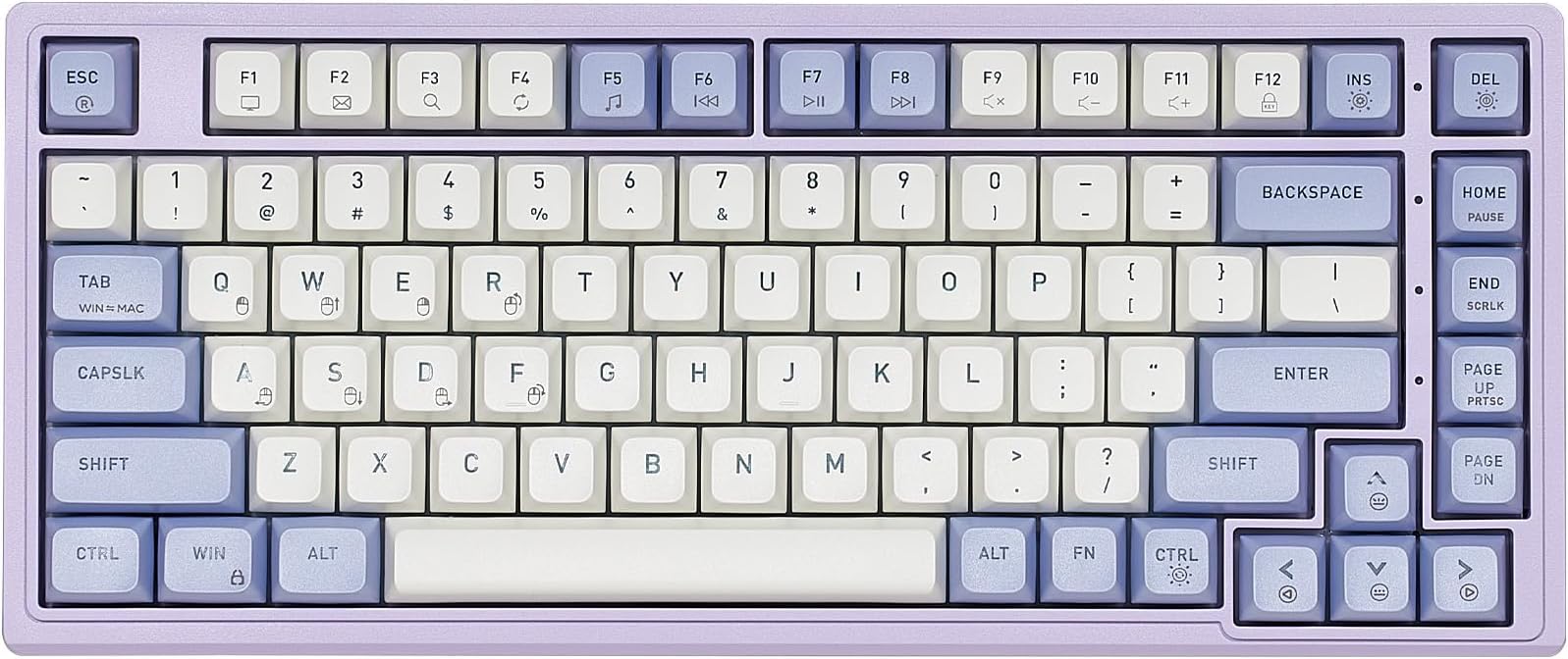 Amazon.com: Hexgears Purple Rain M2 Wired Mechanical Keyboard 83 Keys ...