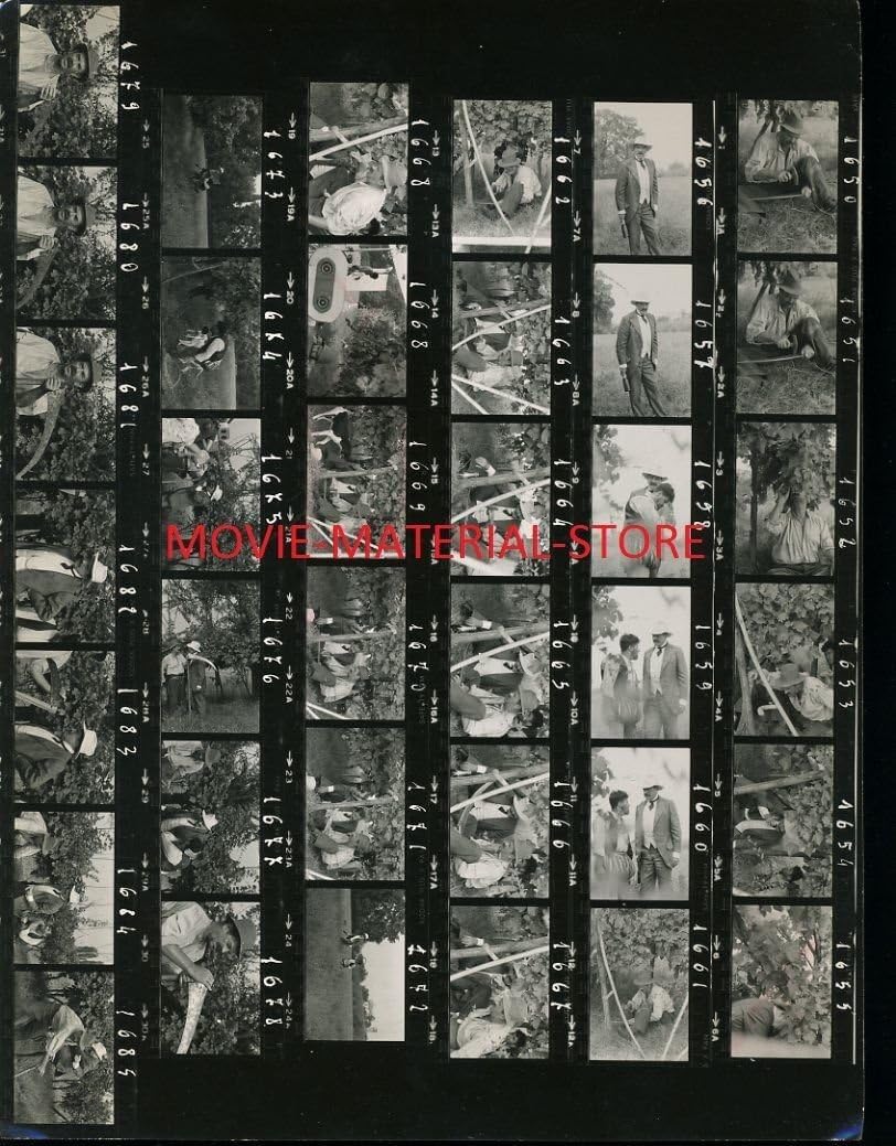 Burt Lancaster Sterling Hayden 1900 Original 8x10" Contact Sheet Photo ...