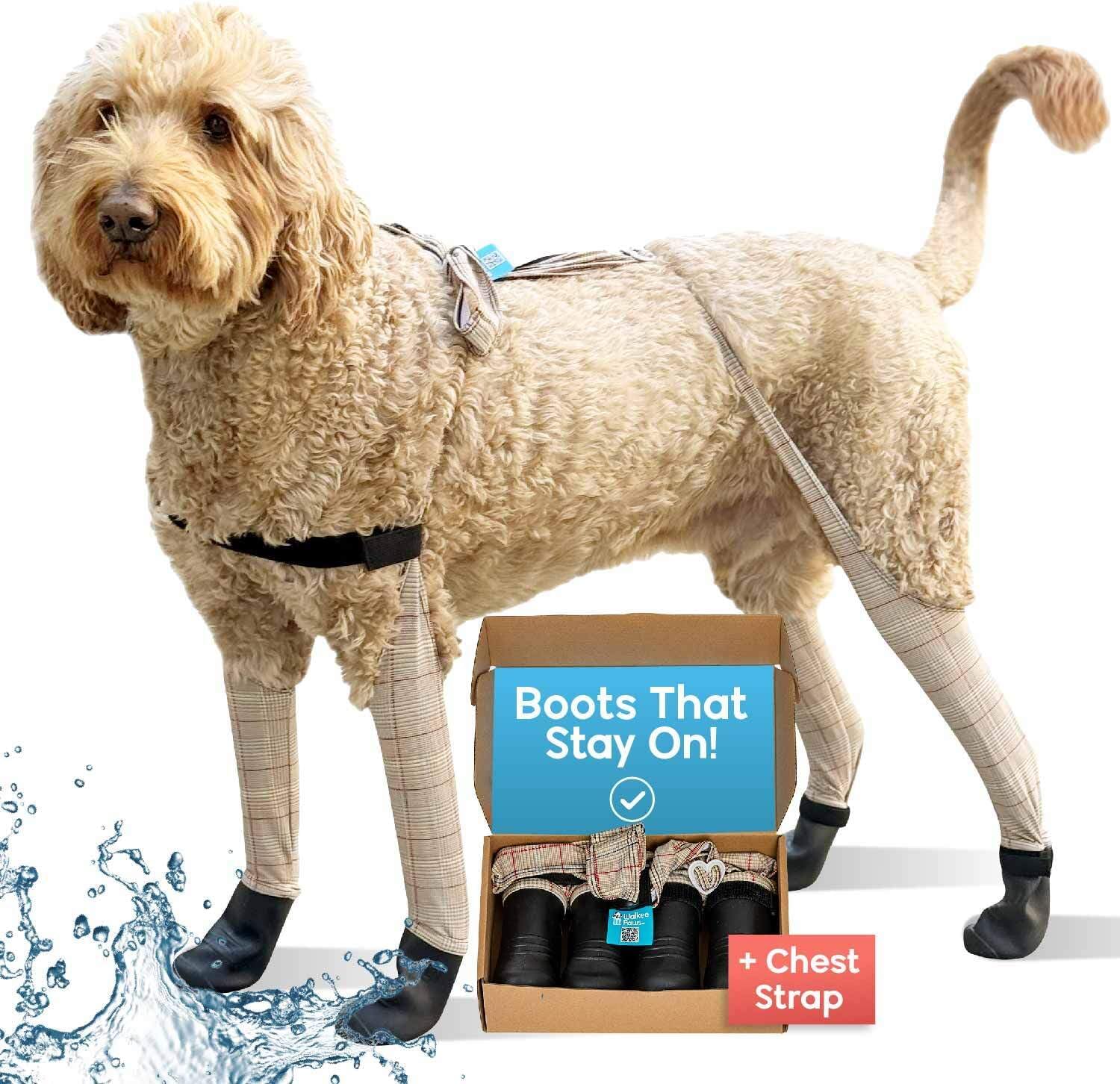 Amazon.com : Walkee Paws New Deluxe Easy-On, Dog Suspender Boot ...
