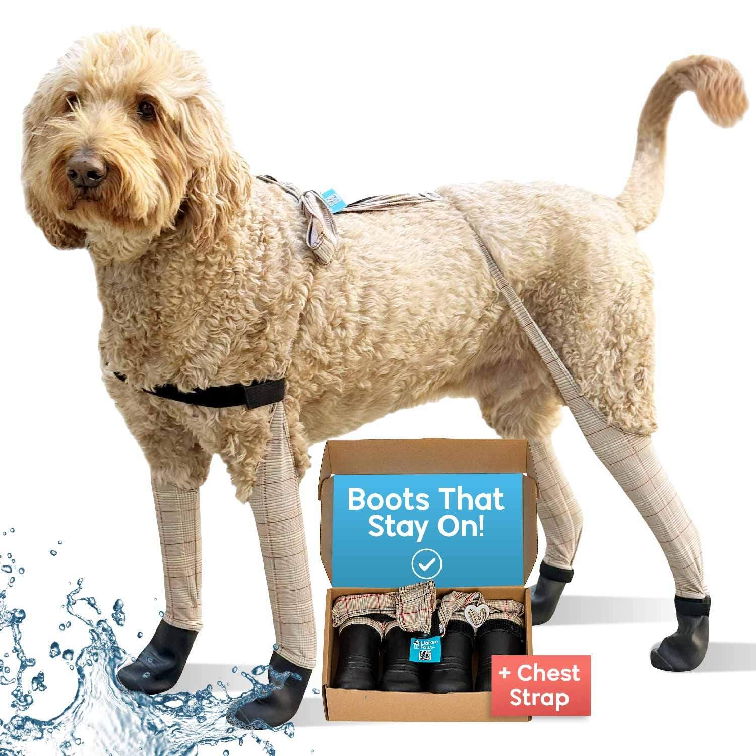 Amazon.com : Walkee Paws New Deluxe Easy-On, Dog Suspender Boot ...