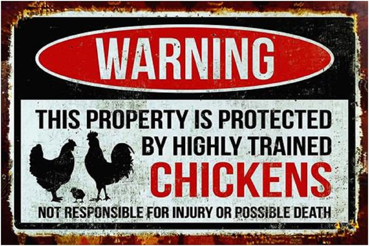 Amazon.com: Funny Chicken Sign, Metal Chicken Coop Tin Signs, This ...