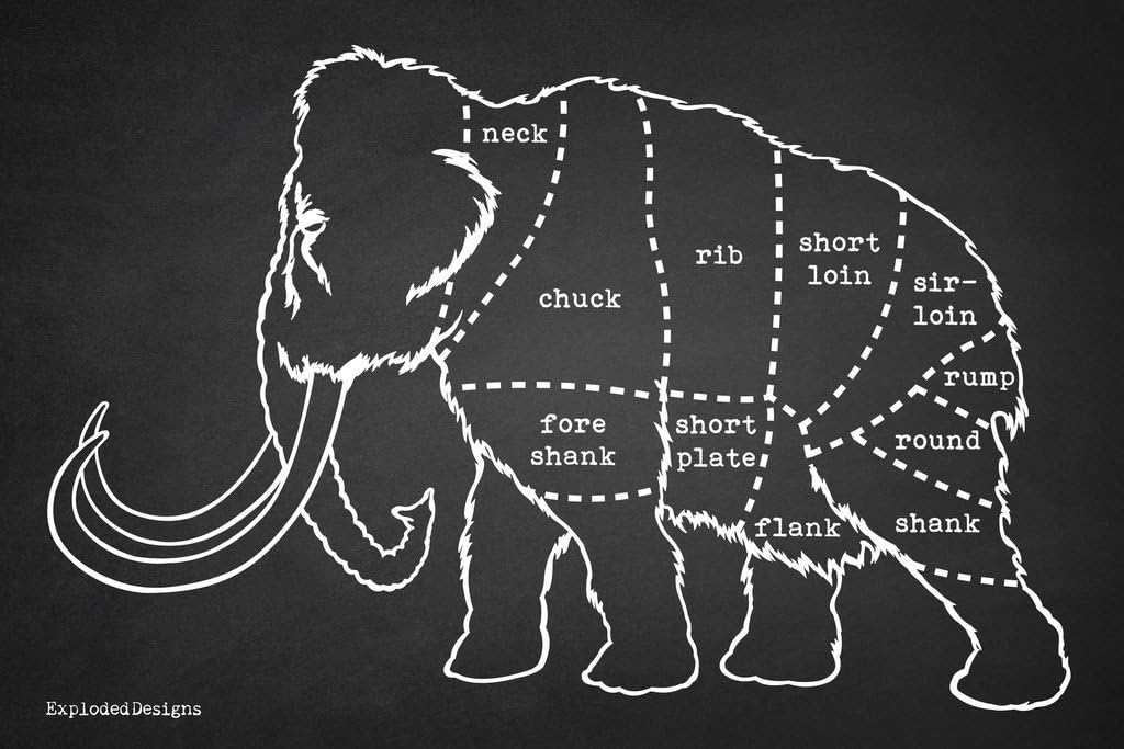 Amazon.com: Exploded Designs Woolly Mammoth Butcher Cut Diagram Poster ...