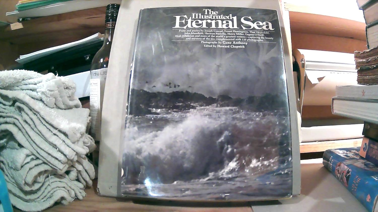 The Illustrated Eternal Sea: Howard Chapnick, Gene Anthony ...