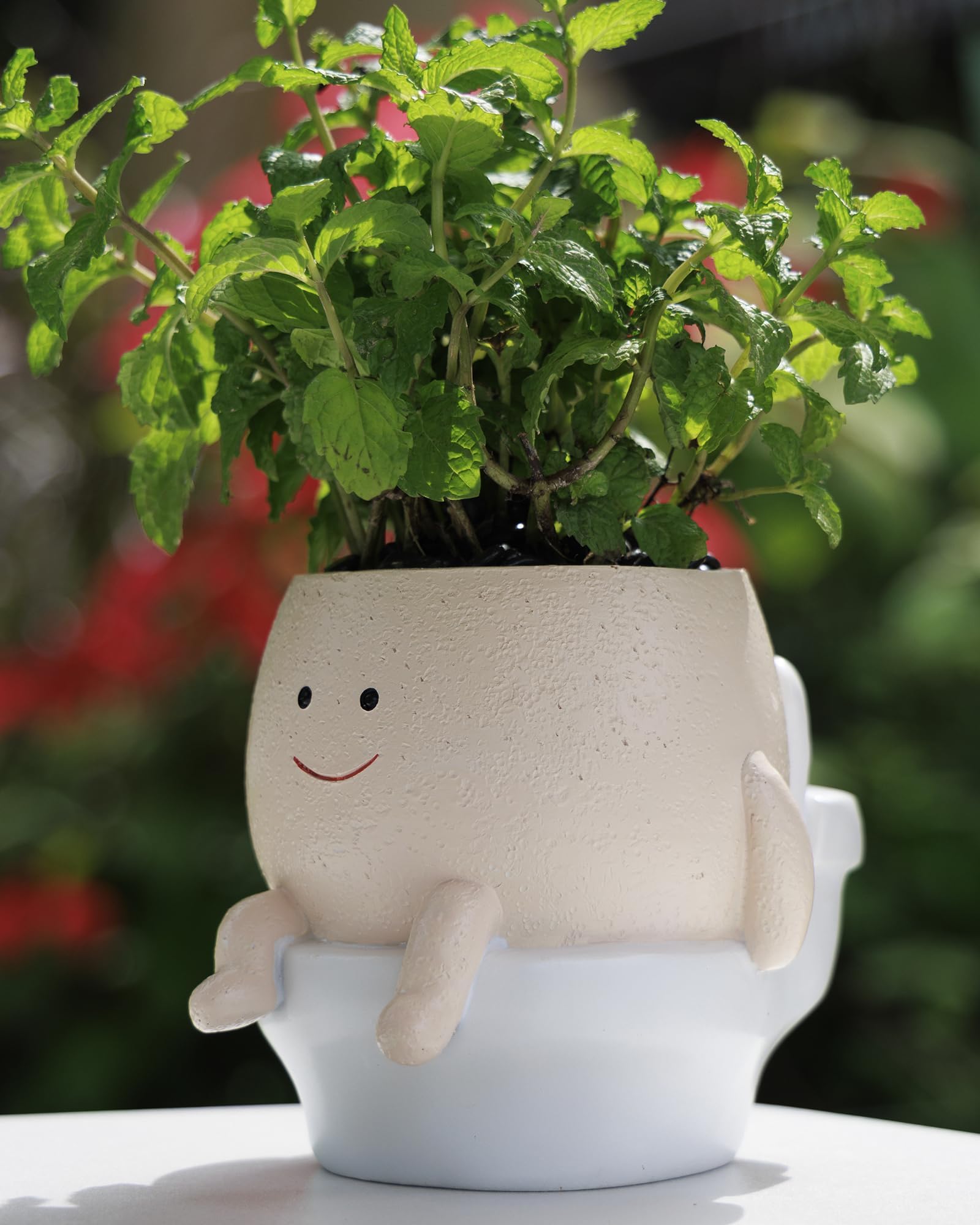 Amazon.com : Cute Indoor Plant Pots Set of 3, Unique Plastic Succulent ...