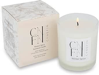CNFN Winter Spice Scented Candle - Fall Cinnamon Scent, 7oz, 40 Hrs ...